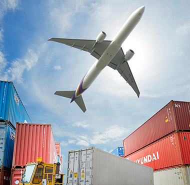 Everest Shipping Agency || Home Page