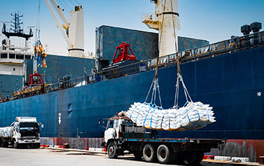 Everest Shipping Agency || Home Page